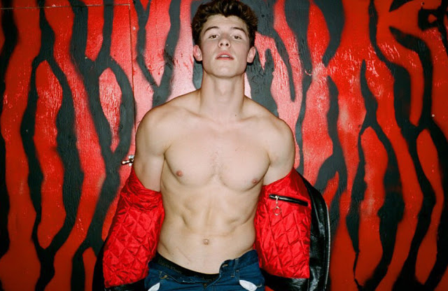 Shawn Mendes treu pit i lidera als Estats Units • Ràdio Capital de l ...
