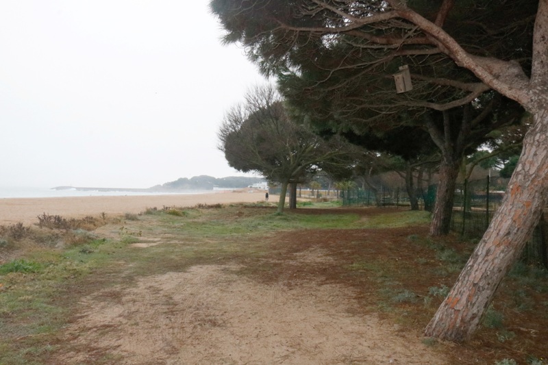privat:-sos-costa-brava-celebra-que-platja-d’aro-denegues-l’ampliacio ...